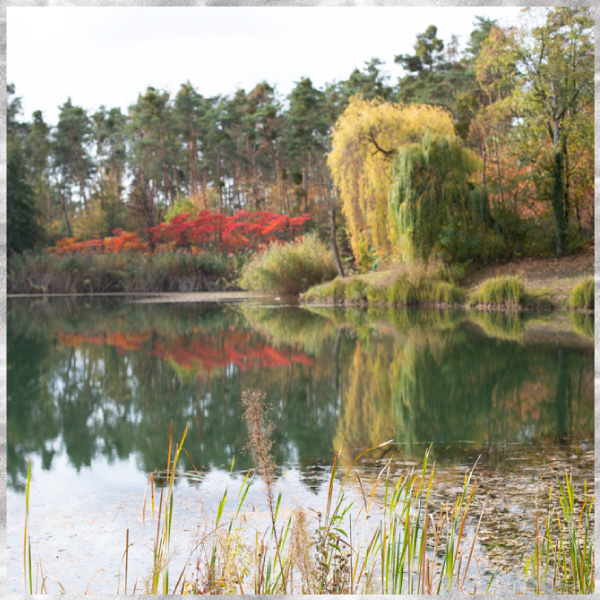 Funda Sen | Coaching